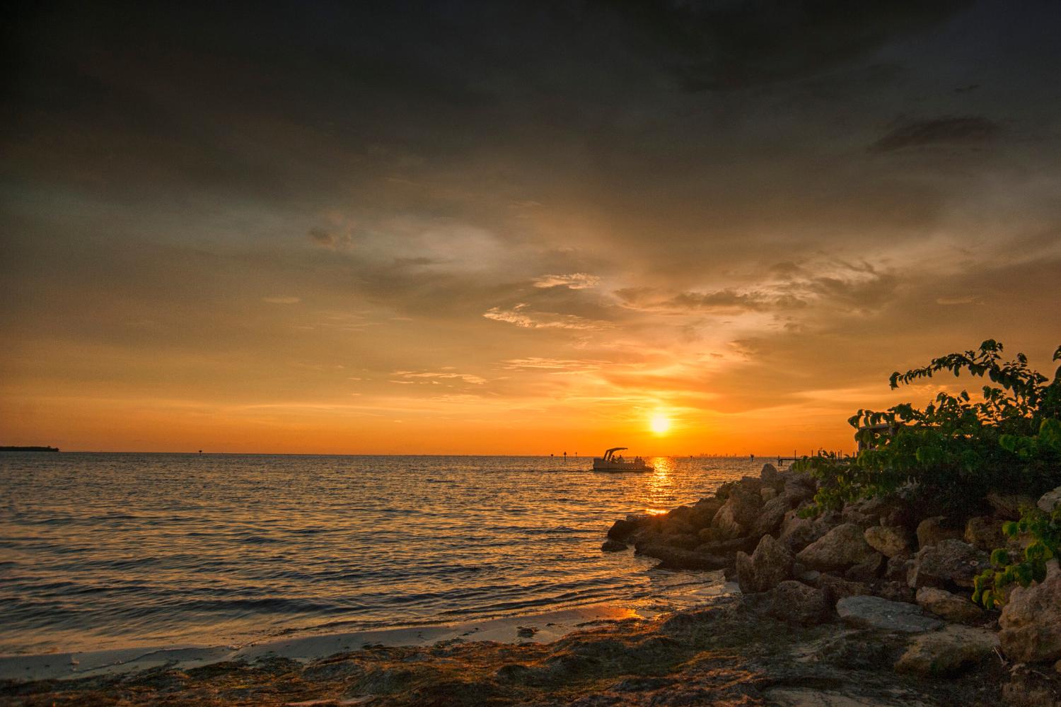 Entenda a diferença entre GOOD EVENING, GOOD NIGHT, IN THE EVENING e AT ...